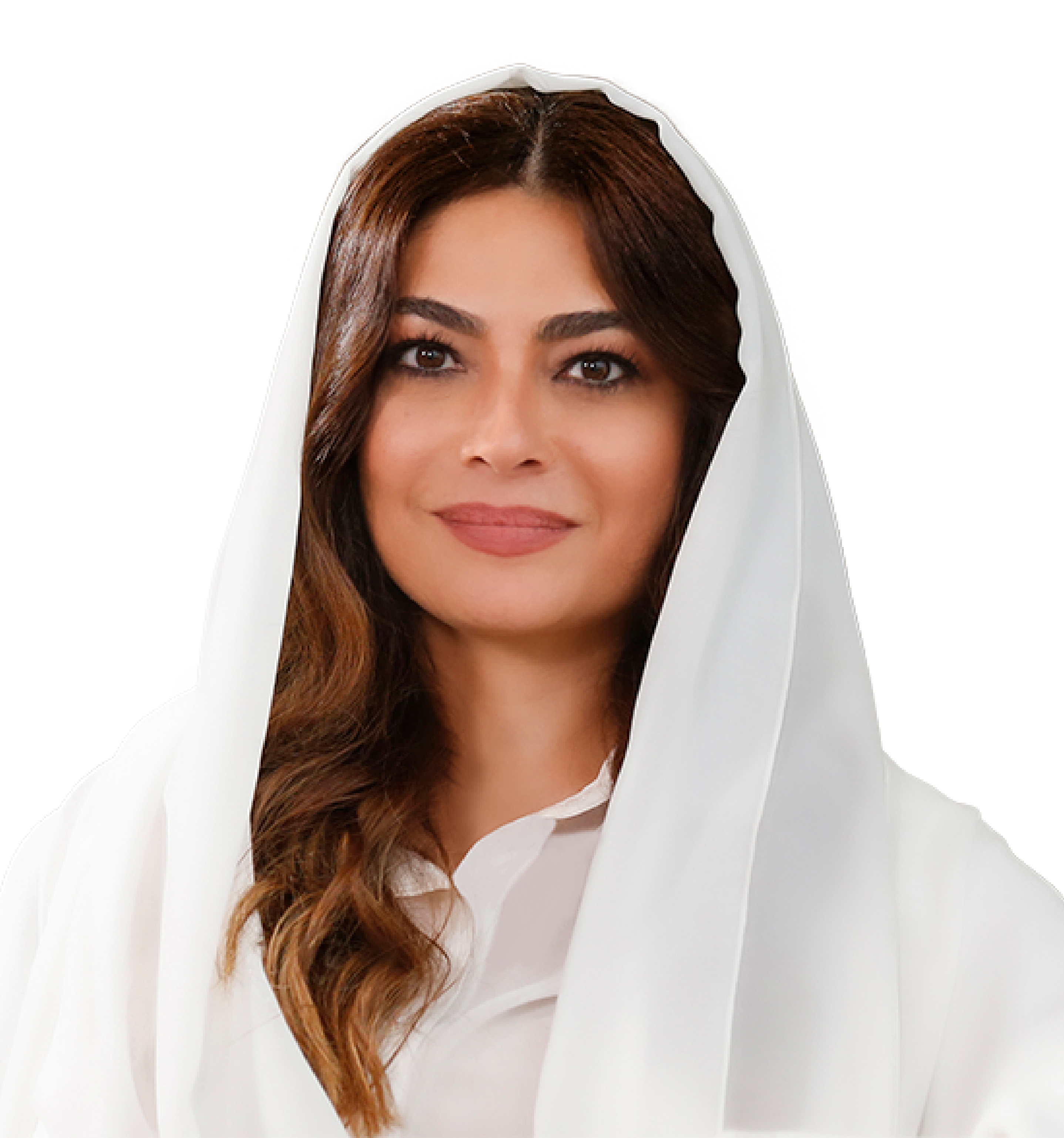 Board of Directors | Alsalehat Holding